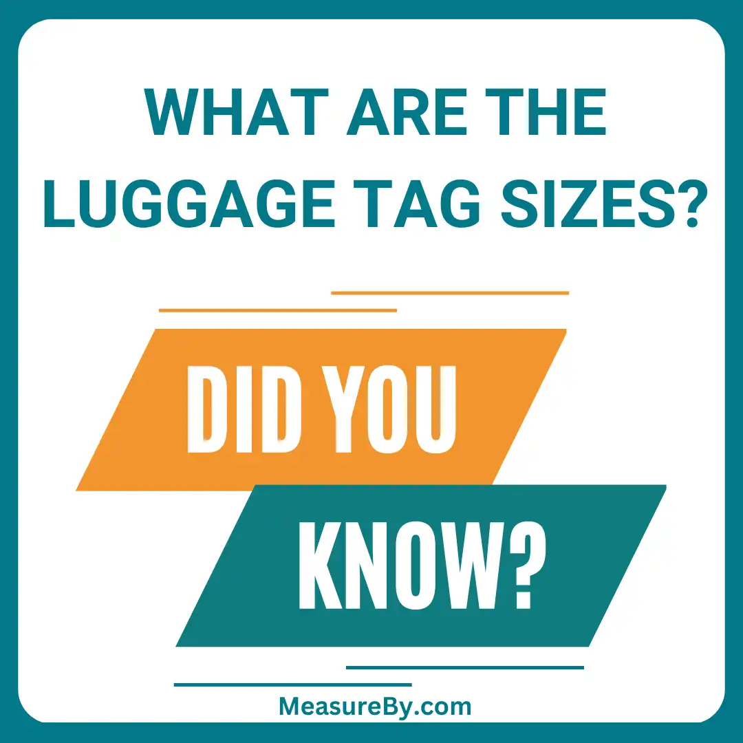 What Are The Luggage Tag Sizes What Are The Luggage Tag Sizes