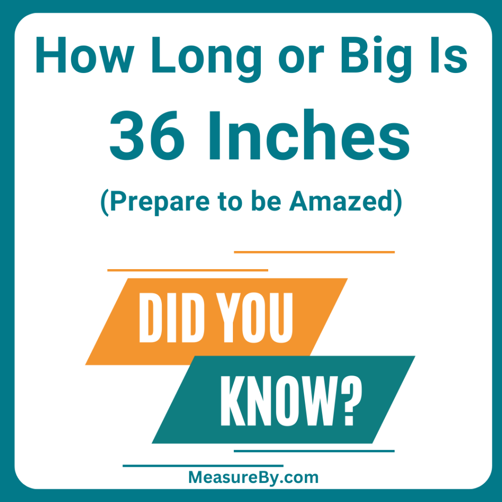 Inches - Measure By